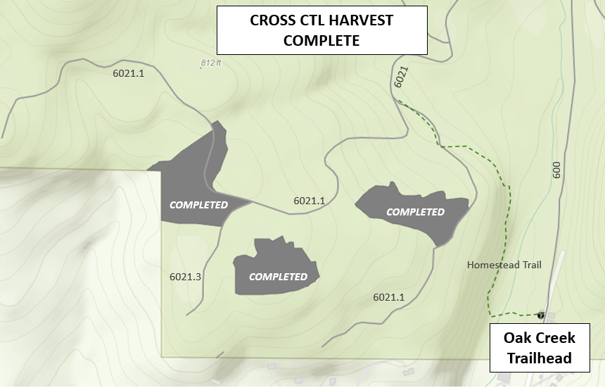 Forest Updates | Research Forests